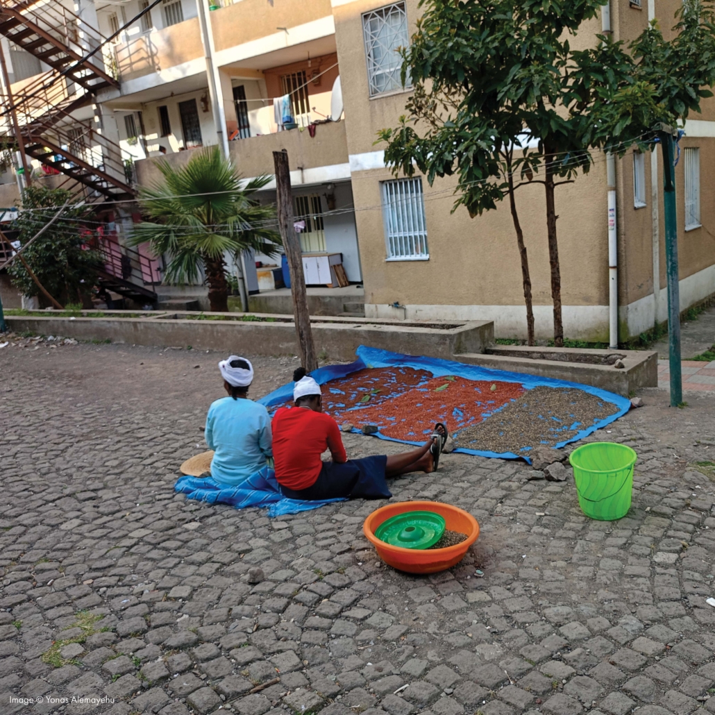 work package 2 – Addis Ababa Living Lab